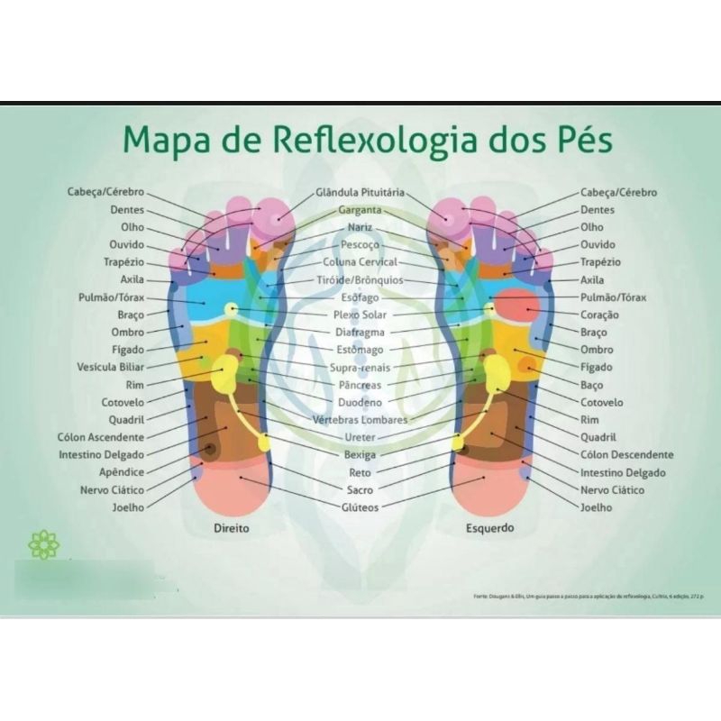 mapa reflexologia podal emplastificado | Shopee Brasil