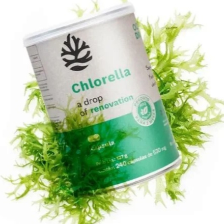 CHLORELLA 530 MG OCEAN DROP - 240 CAPS | Shopee Brasil