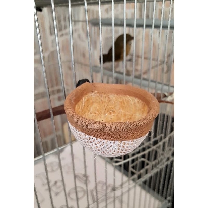 NINHO COLEIRO - BUCHA E SISAL | Shopee Brasil