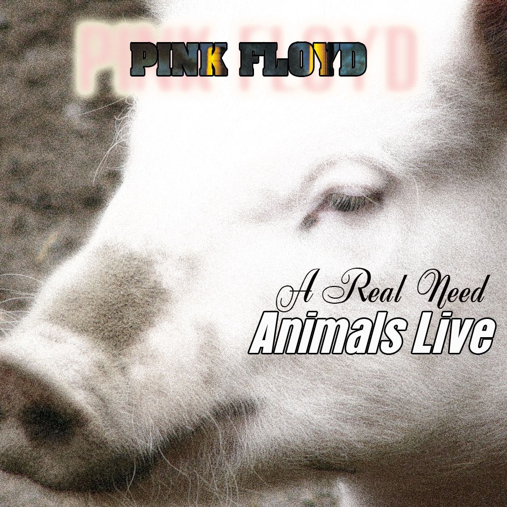 Pink Floyd CD A Real Need - Animals Live 1977 | Shopee Brasil