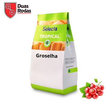 Selecta Tropical Groselha Duas Rodas 1Kg c/ 3 unidades | Shopee Brasil