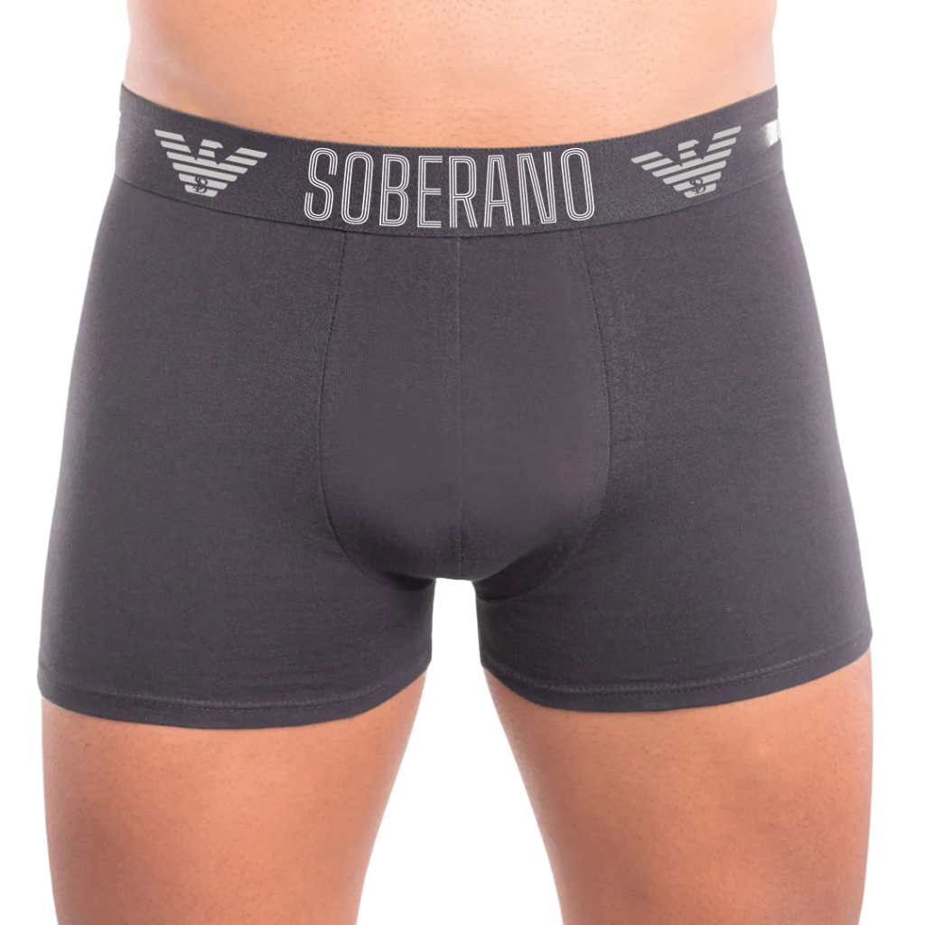 Kit 10 Cueca Boxer Masculina Adulto Microfibra Cuecas Box Premium | Shopee Brasil