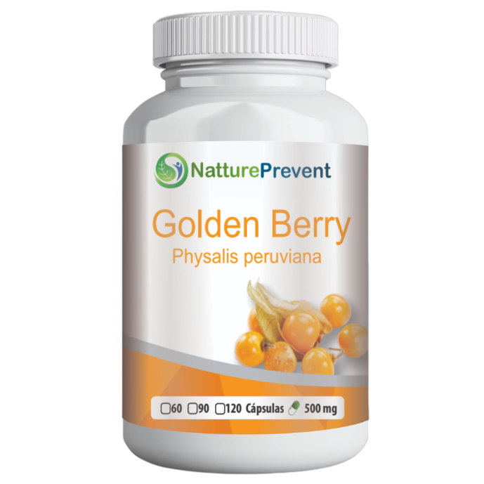 Golden Berry 500 mg 60 / 90 / 120 Cápsulas - Suplemento Alimentar ...
