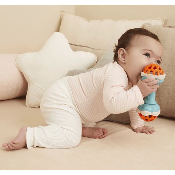 Brinquedo Chocalho Para Bebê Shake Shake Atividades Bebe Infantil ...