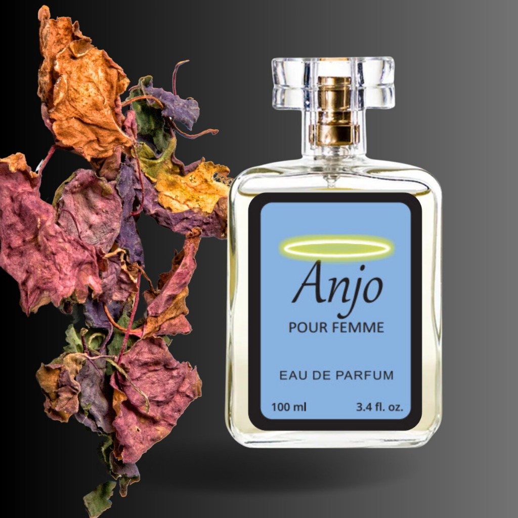 Perfume Feminino Eau de Parfum Anjo Pour Femme 100ml | Shopee Brasil