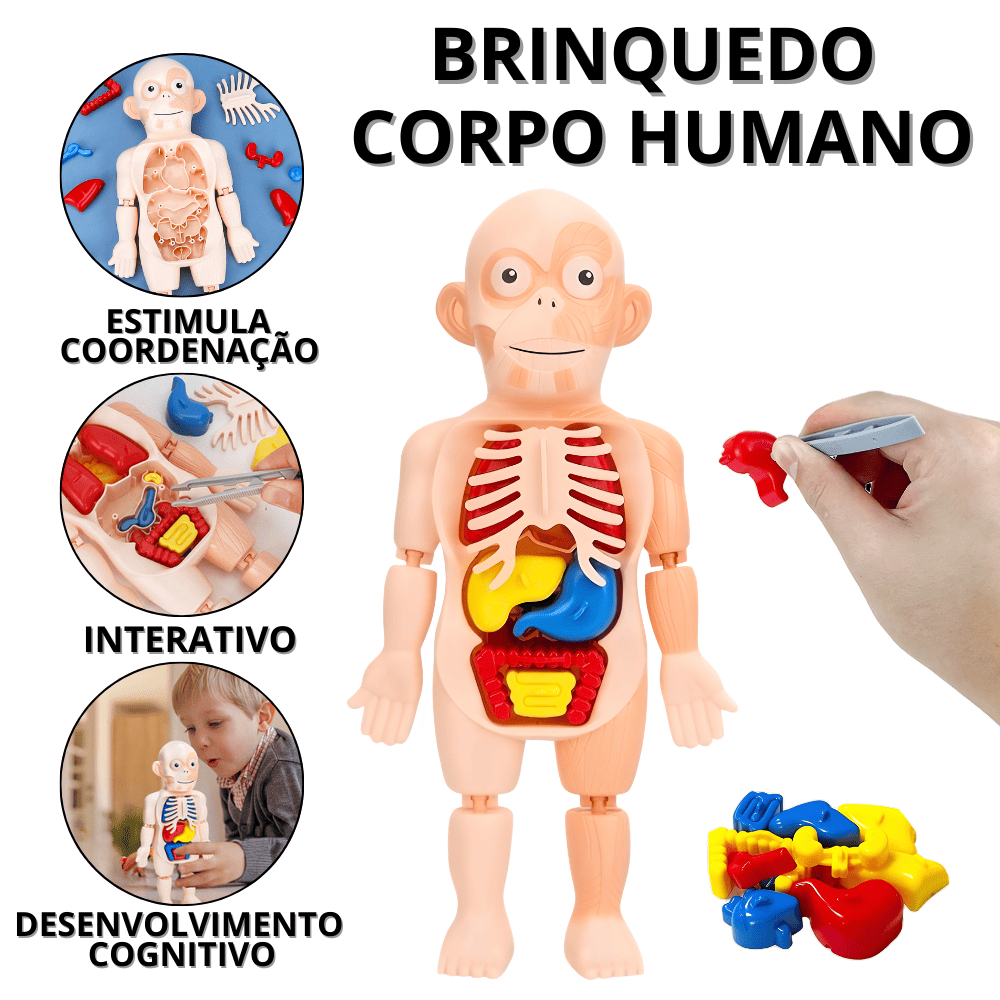 Boneco De Anatomia Humana Quebra Cabeça Corpo Humano Brinquedo ...