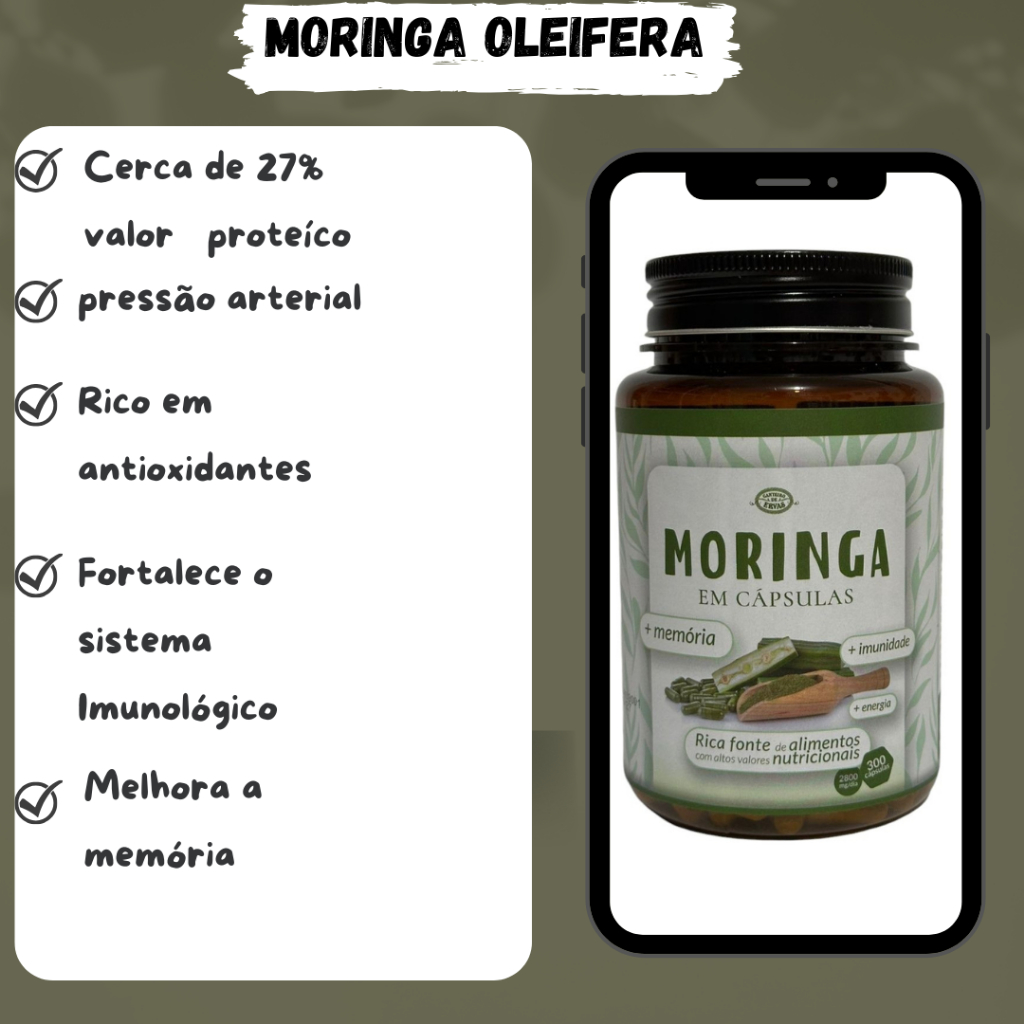 Moringa 300caps 2800mg porção diária de 4 cápsulas Canteiro de Ervas ...