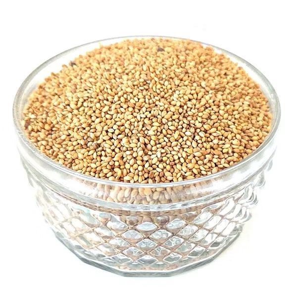 Painço Mileto Milheto Miletinho Importado 1kg | Shopee Brasil