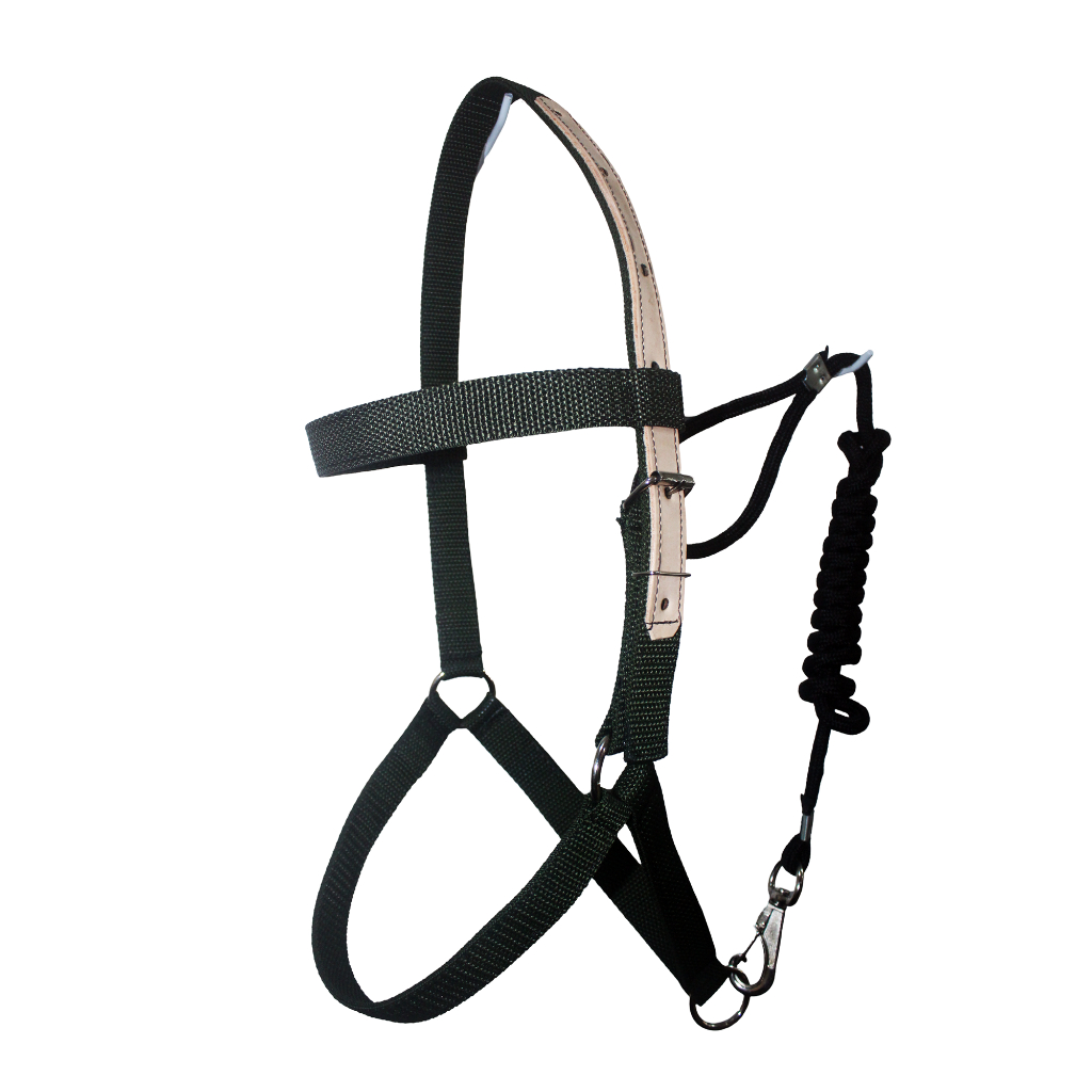 Cabresto De Fita Nylon Reforçado Para Cavalos , Equinos com Regulagem e ...