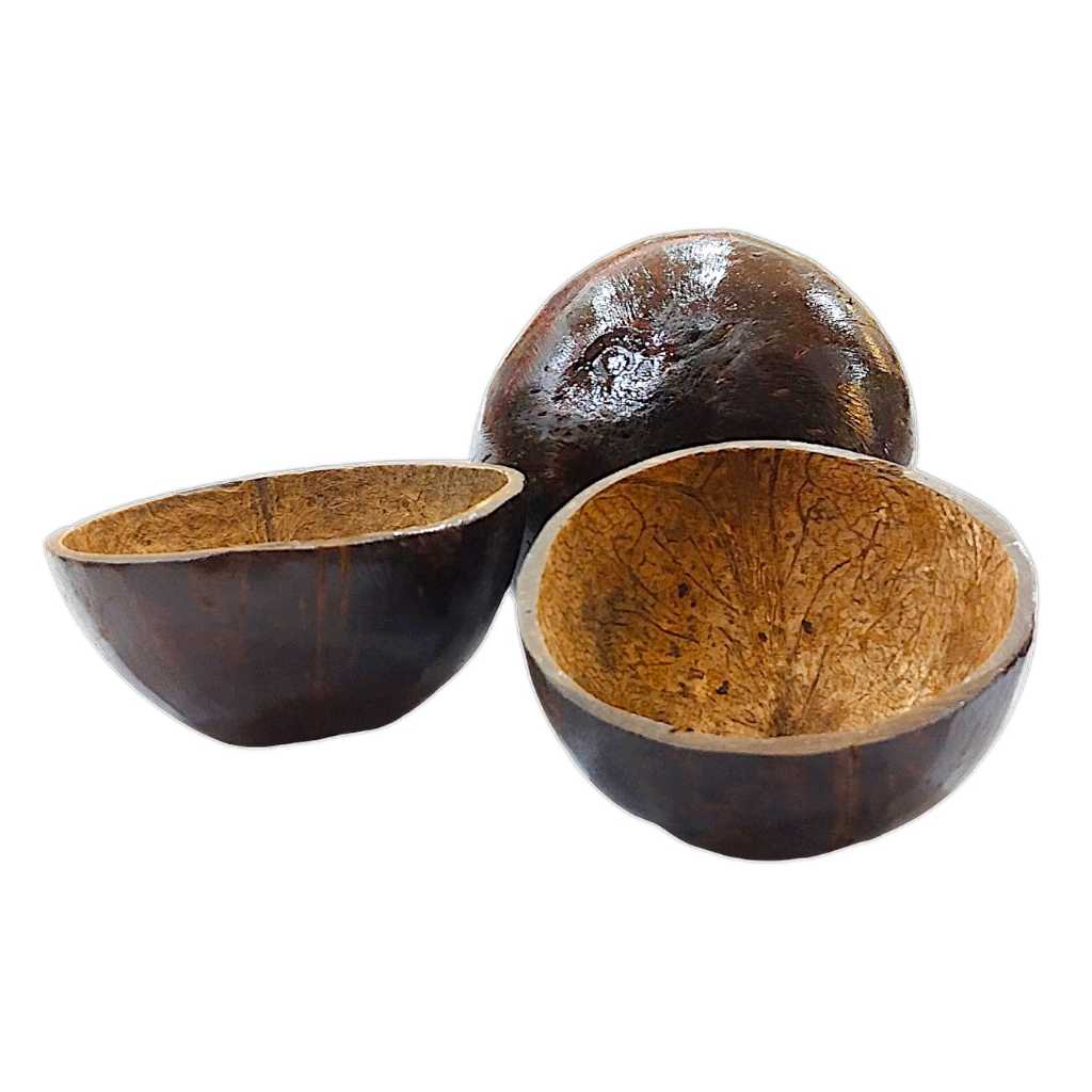 Coité De Coco - Umbanda - Candomblé - Preto Velho | Shopee Brasil