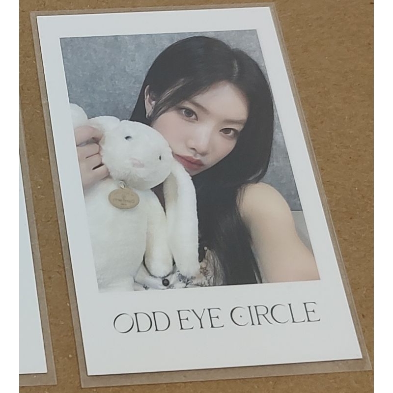 Artms/Loona OEC Kim Lip POB Photocard - Oficial | Shopee Brasil