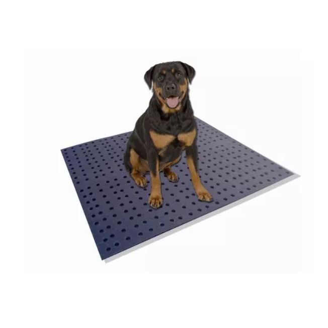 Piso Borracha Preto 25 x 500 x 500mm Com Furos 2Pç | Shopee Brasil