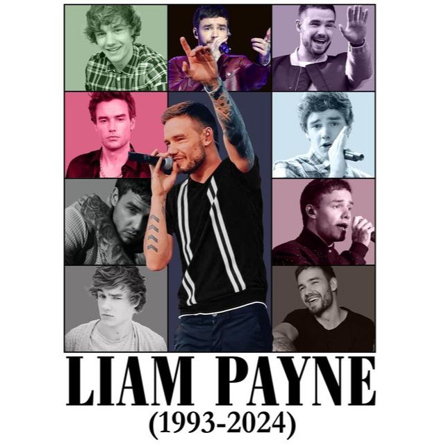 Poster Liam Payne - Cantor - One Direction - Liam Payne | Shopee Brasil