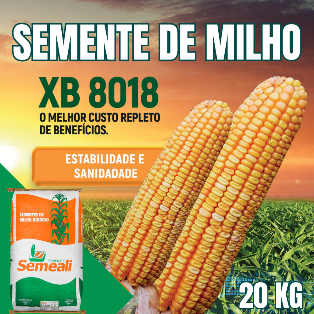 Semente Milho Hibrido Para Plantar Semeali Saco De 20kg | Shopee Brasil