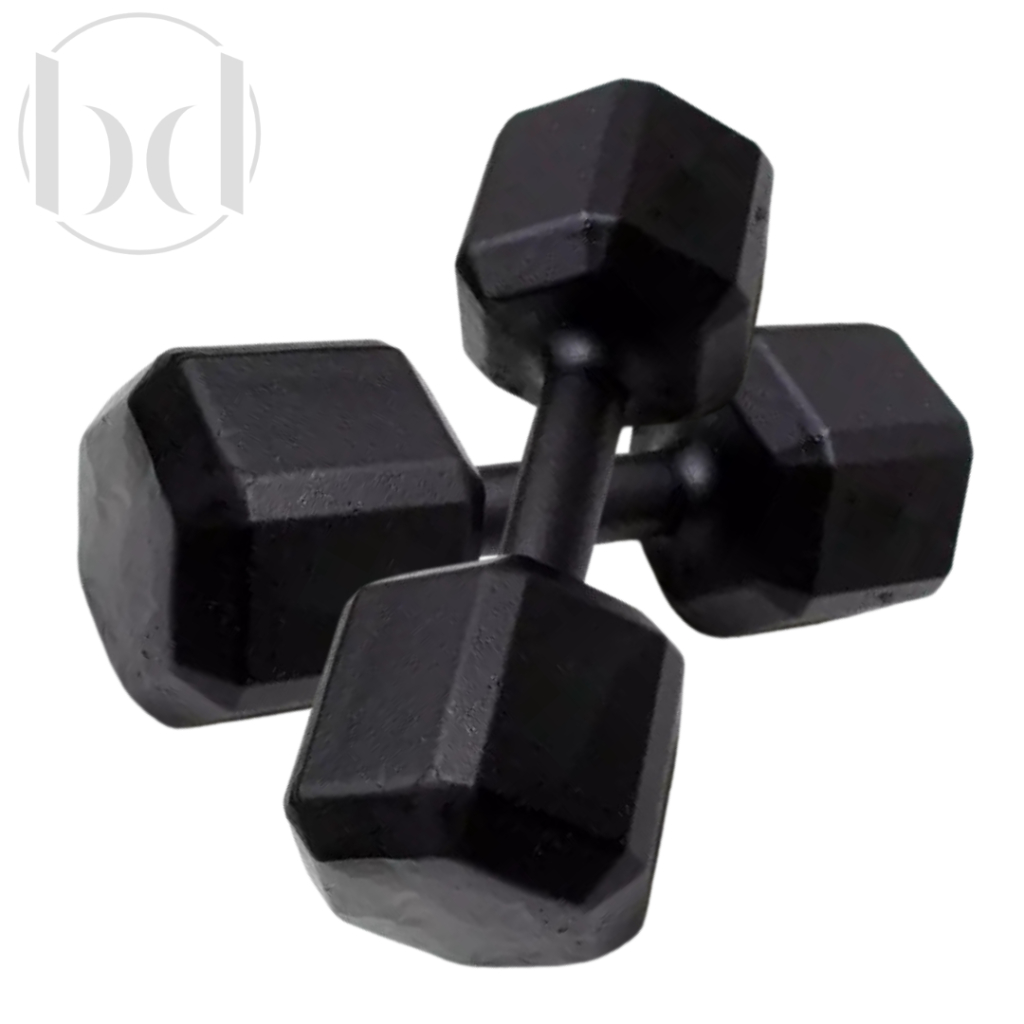 Halter Sextavado 10kg (2un PAR) Academia Funcional Crosfit | Shopee Brasil