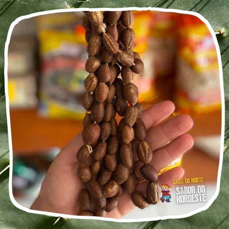 Rosário de Coquinho Colar de Coco Licuri (5 unidades) | Shopee Brasil