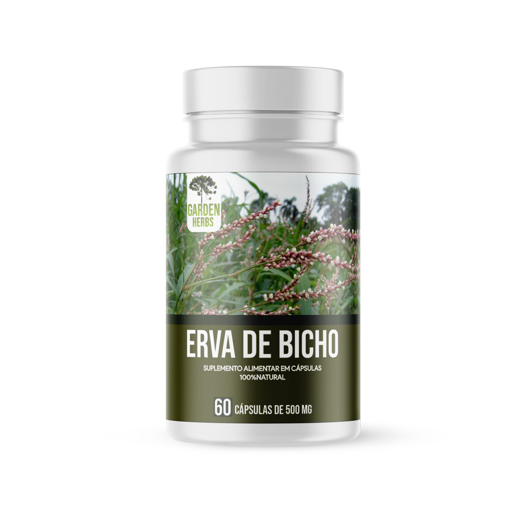 Erva de Bicho 500 Mg /60 Cápsulas - Extrato 100% Puro | Shopee Brasil