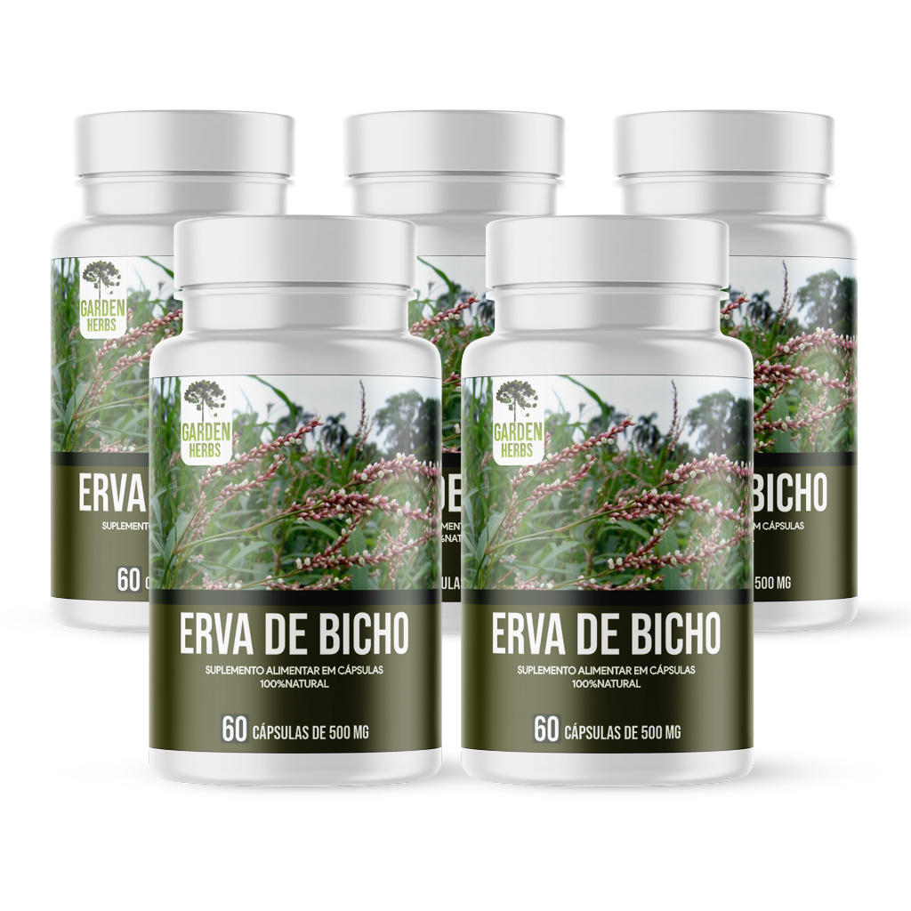 Erva de Bicho 500 Mg /60 Cápsulas - Extrato 100% Puro - Kit 5 Unidades ...