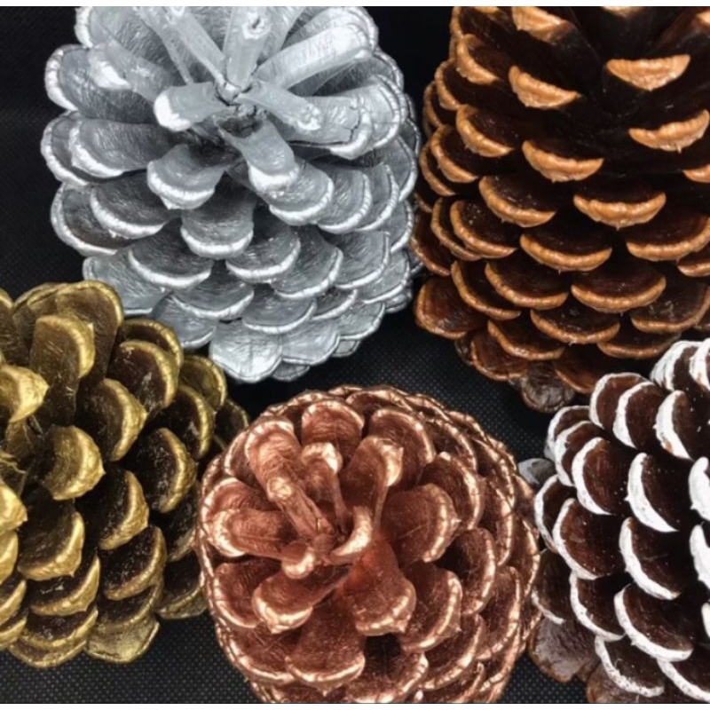 Pinha Kit com 5/10/15 Pinhas Naturais e prata para Artesanato, Enfeite ... Pinha Kit com 5/10/15 Pinhas Naturais e prata para Artesanato, Enfeite ...