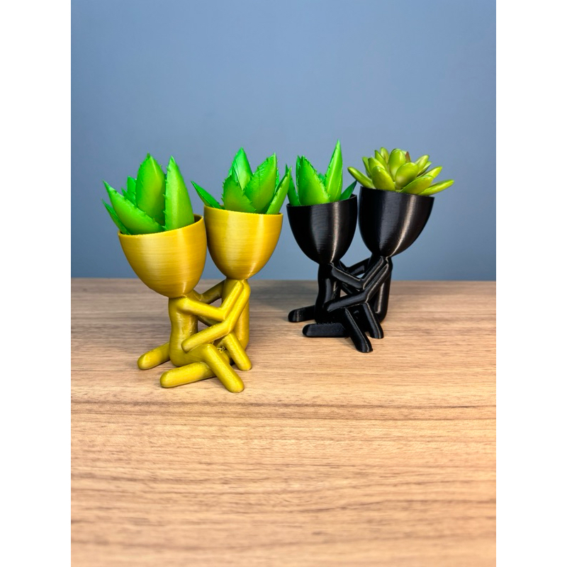 Vaso suculenta - Robert - Planta - Bob- Modelo casal apaixonado ...