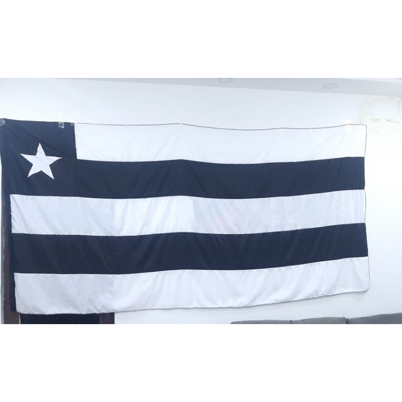 Bandeira Botafogo 1,60 X 1,10 Estrela Solitária | Shopee Brasil