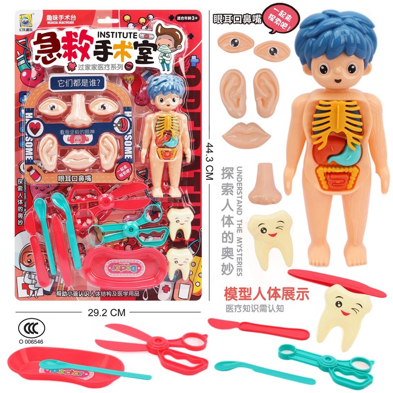 Brinquedo Kit Médico Boneco Corpo Humano Educativo Monta e Desmonta ...