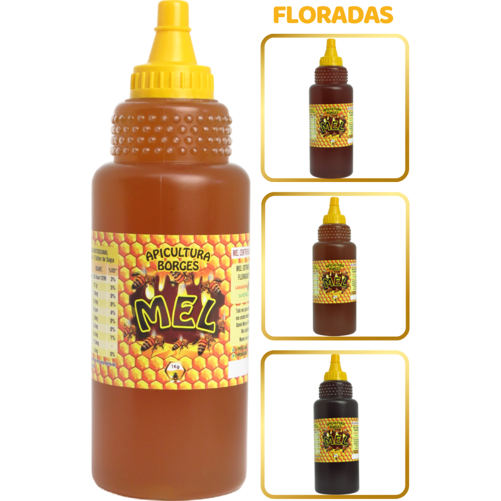Mel de Abelha 100% puro - Bisnaga 1kg (750 ml) - Florada Laranjeira Mel ...