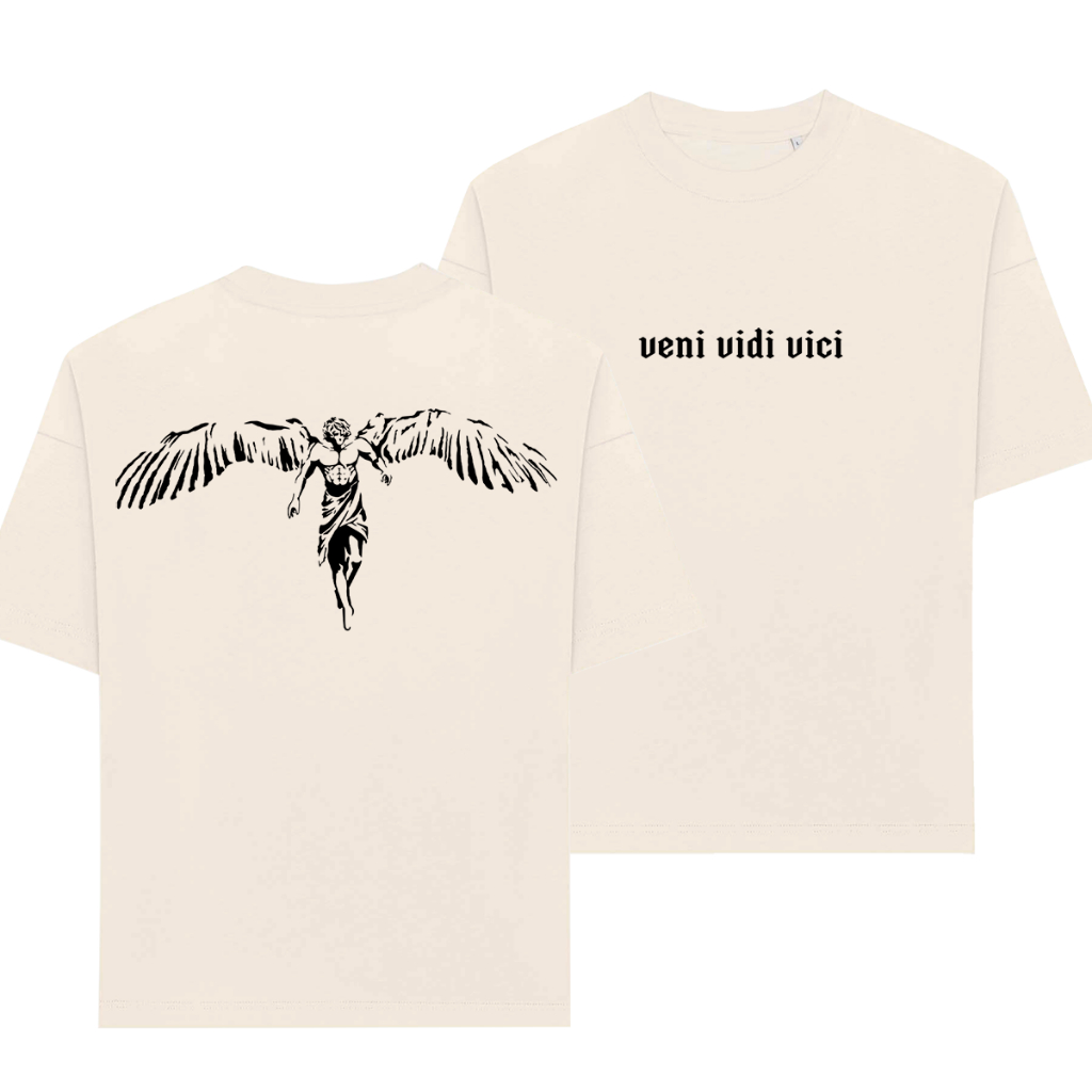 Camiseta Oversized Treino Masculina Academia Anjo Veni Vidi Vici Modelo Unissex 100% Algodão ...