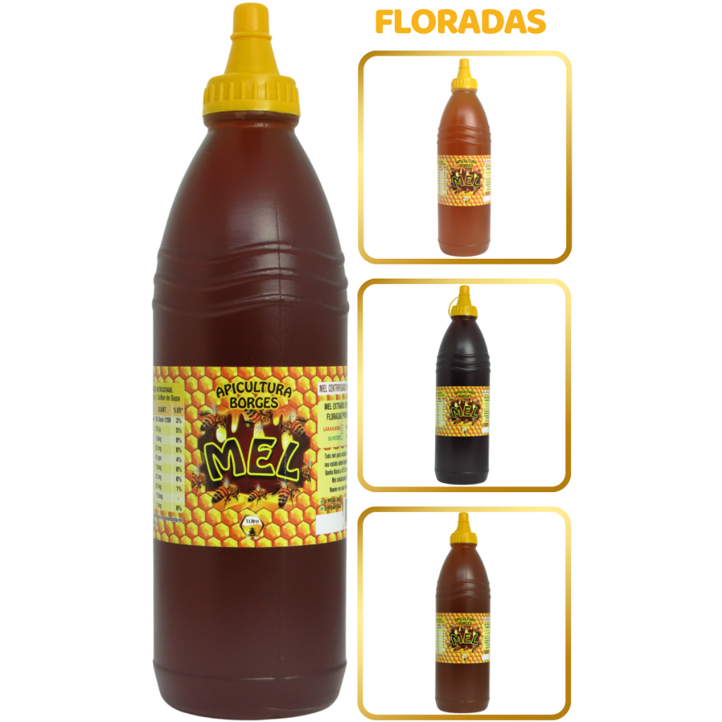 Mel Puro de Abelhas - Bisnaga 1 Litro (1,4 kg) - Florada Eucalipto ...