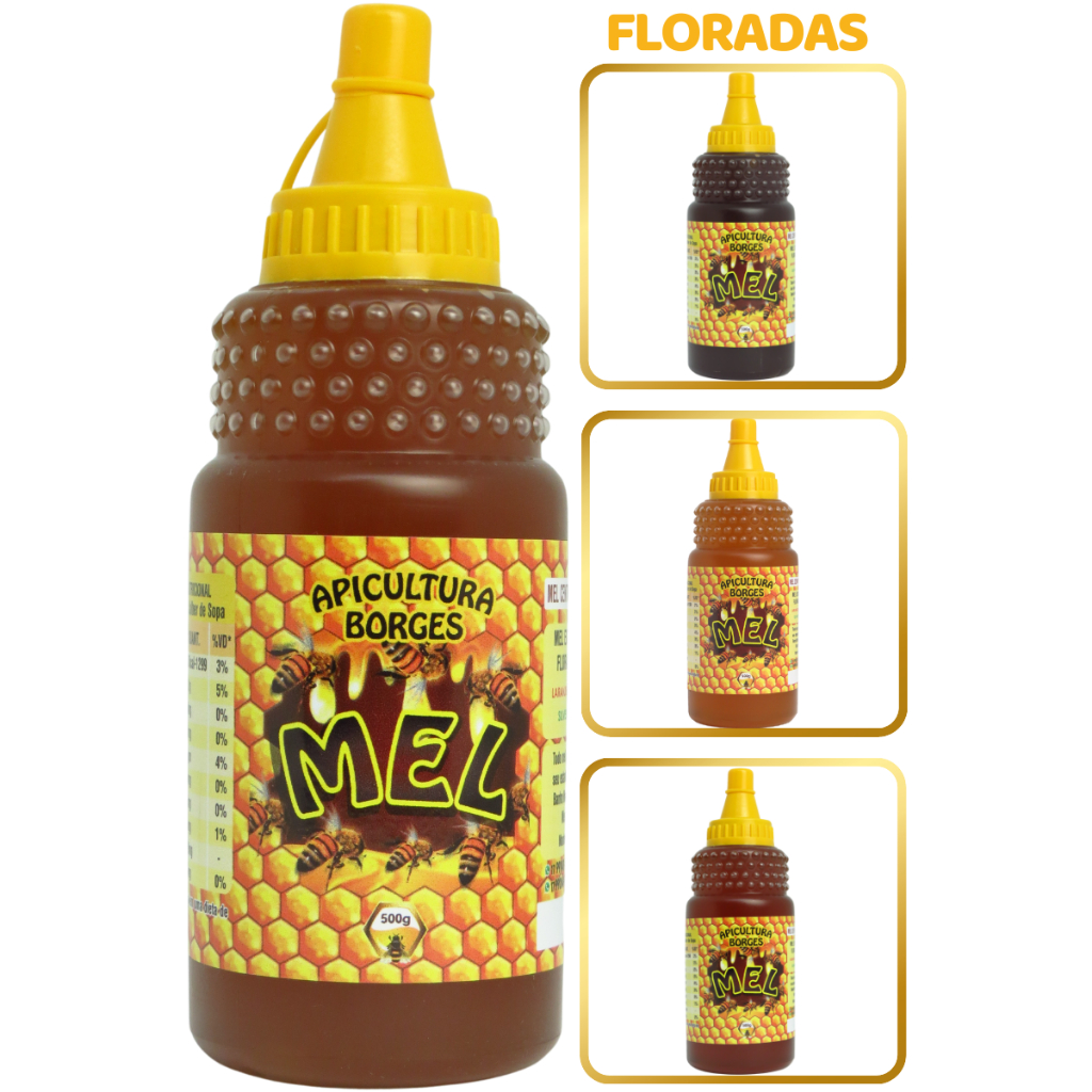 Mel de Abelha 100% Puro - Bisnaga 500g (350 ml) - Florada Silvestre Mel ...