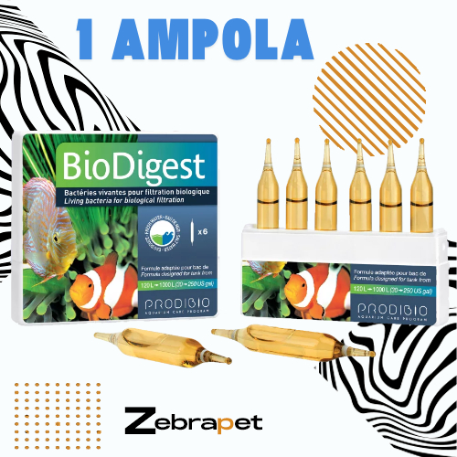 Prodibio BioDigest - Acelerador Biológico - 1 Ampola | Shopee Brasil