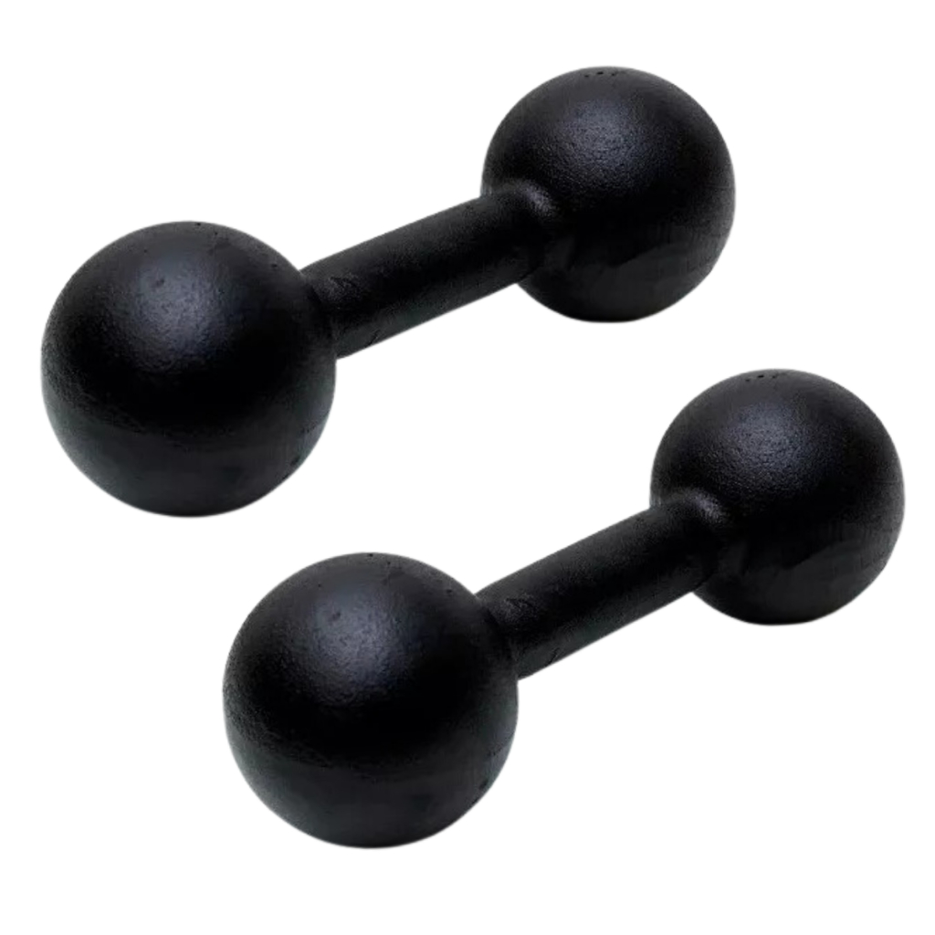 Halter 10kg Pintado Peso de Academia Kit 2 Unidades | Shopee Brasil