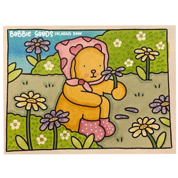 Livro Bobbie Goods 65 FOLHAS MIOLO/FOLHAS SOLTAS | Shopee Brasil