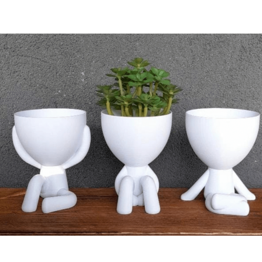 Robert Plant Kit 3 Vasos com 8,5cm Altura Vasinhos Decorativos de ...