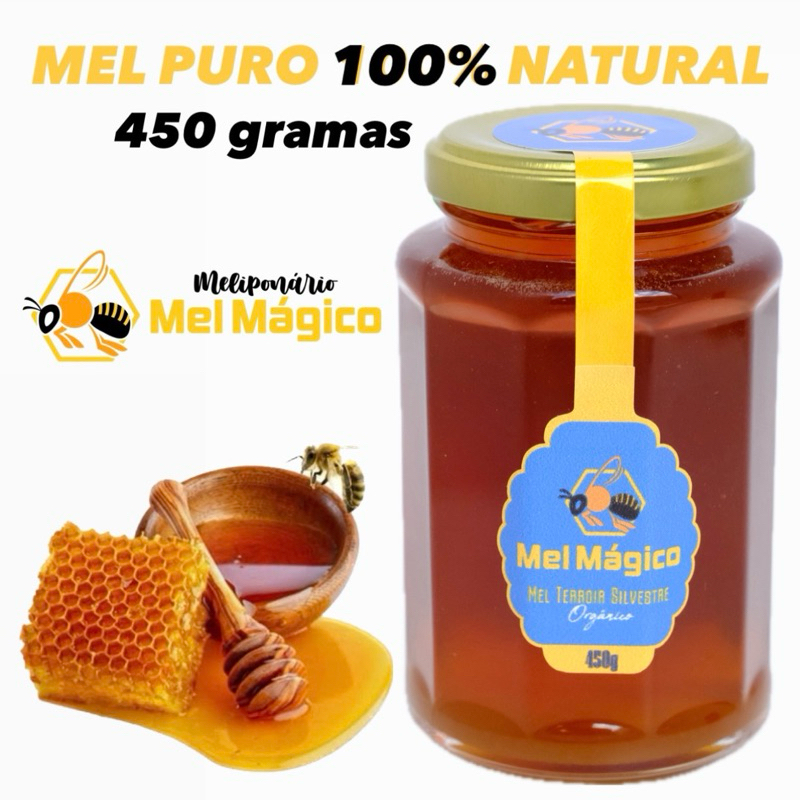 Mel Orgânico 100% Puro Florada Silvestre 450g | Shopee Brasil