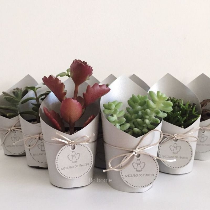 50 Rótulos para Suculentas Personalizada + TAG | Shopee Brasil