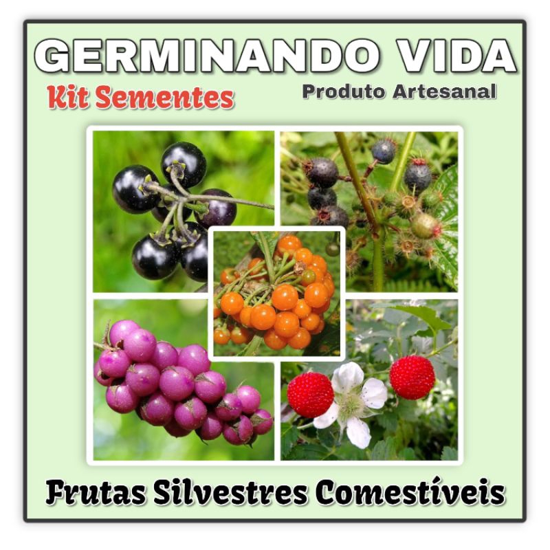 Kit Sementes 5 Espécies Frutas Silvestres Para Plantio - Morango ...