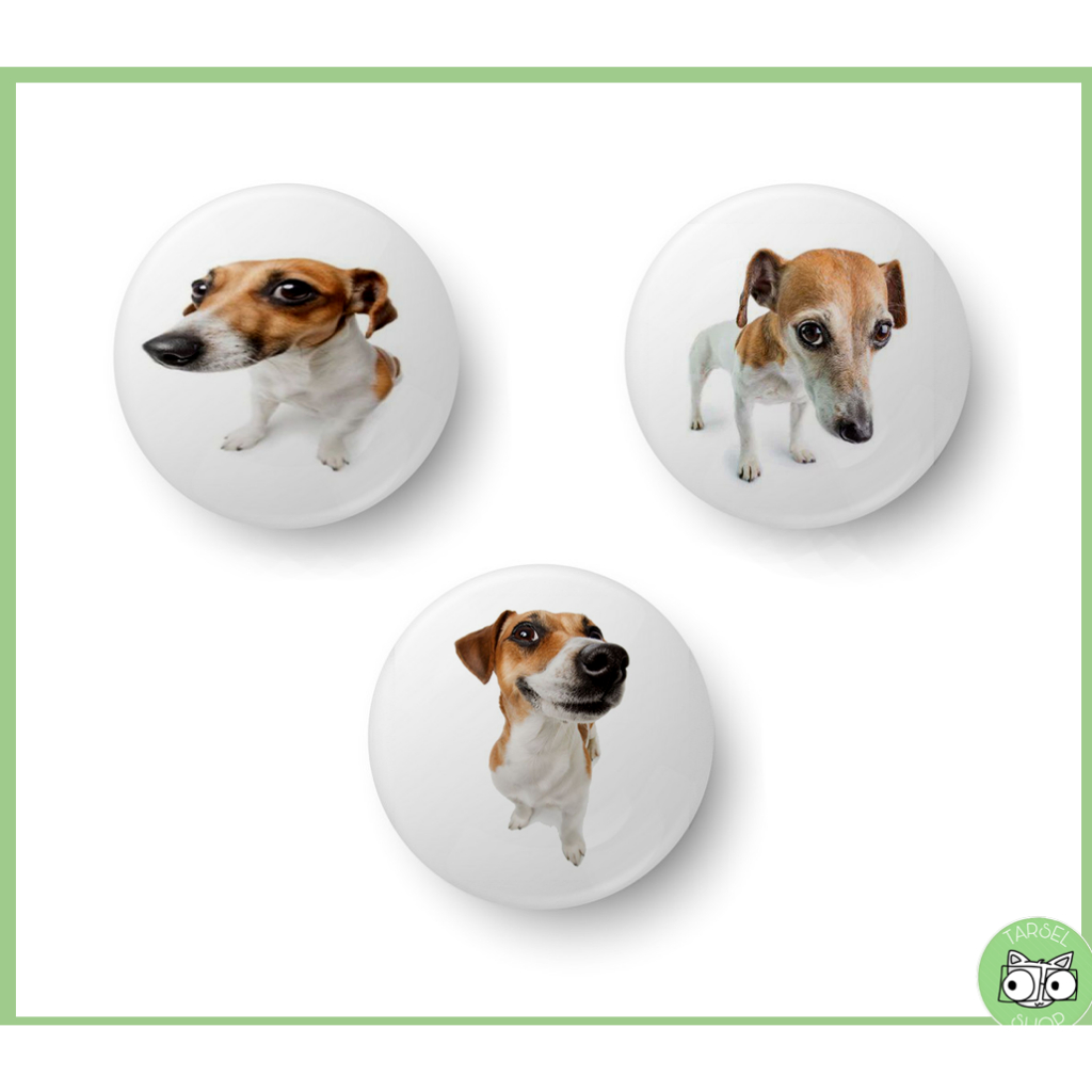 Kit 3 Botton Broche Pin Cachorro A A Folou Meme, 3,2cm | Shopee Brasil