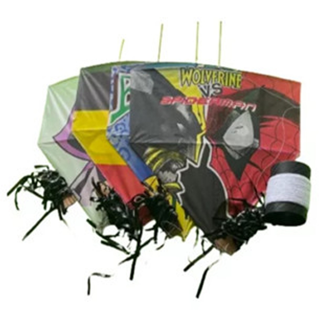 Kit Pipeiro Pipa 50 Cm + Rabiola + Linha | Shopee Brasil