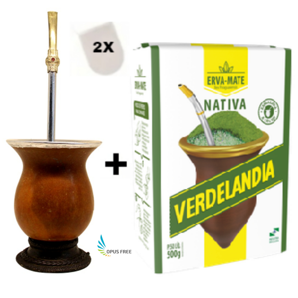 Cuia Lisa para Chimarrão Simples e Rústica + Bomba + Filtro + Erva Mate ...