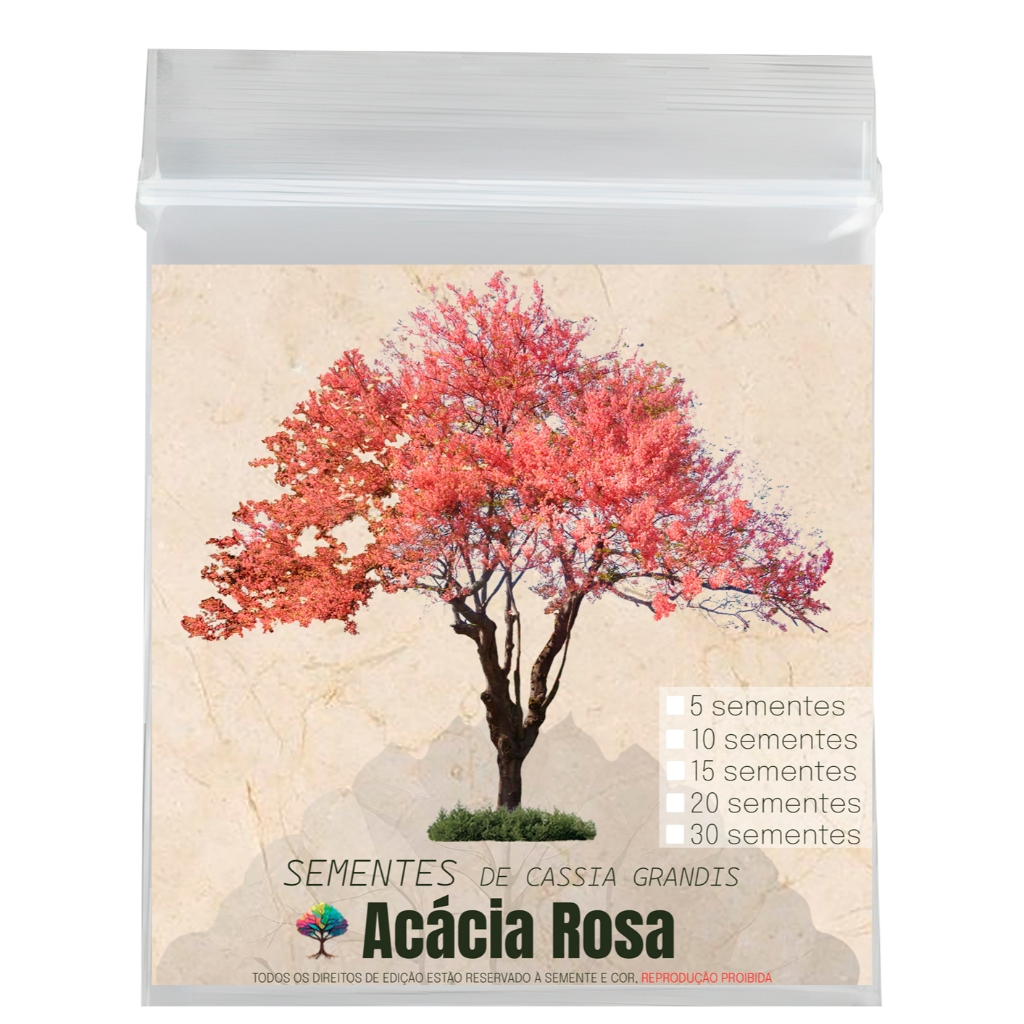 Sementes para Mudas de Acácia Rosa Acácia Rosa Cassia Grandis Semente e ...