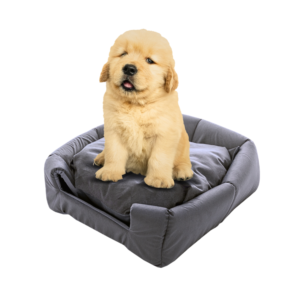 CAMA OCA CAMINHA TOCA 2 EM 1 SUED e TRICOLLINE PARA PETS, CAMINHA ...