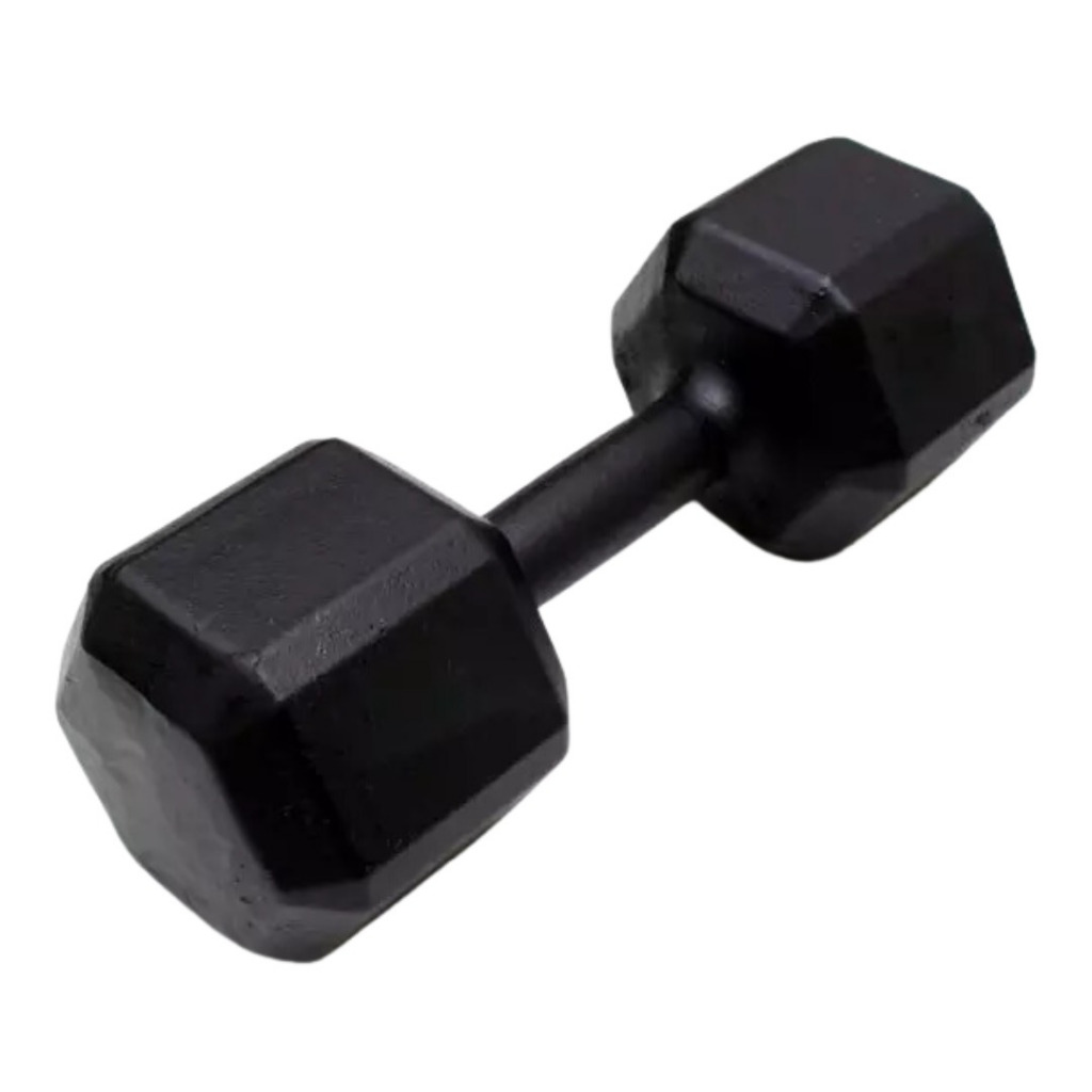 Halter Sextavado Pintado 1 kg Treino em Casa Musculação Academia ...