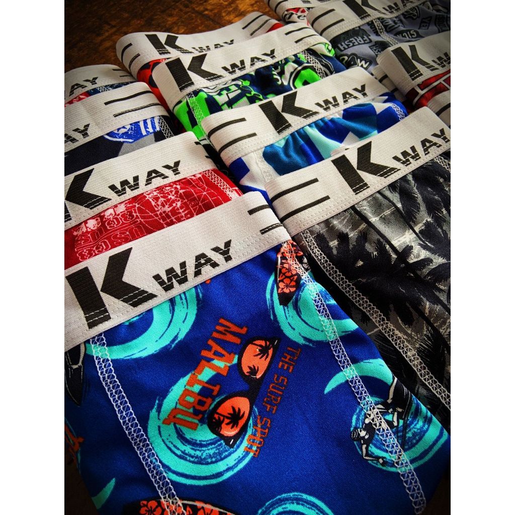 Kit 10 Cuecas Cueca Microfibra cueca Estampada Forro 100% Algodão ...