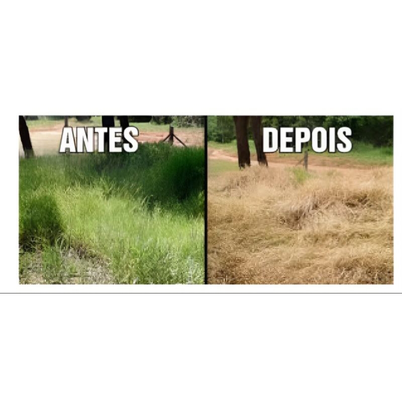 original mais 1 litro | Shopee Brasil