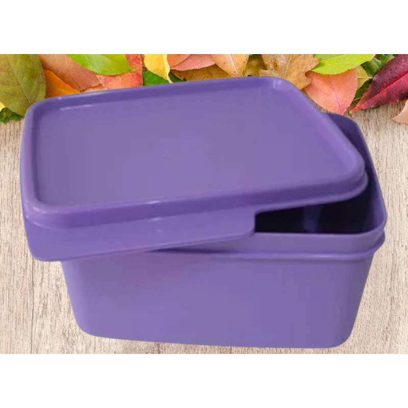 Tupperware Basic Line de 500 mL | Shopee Brasil