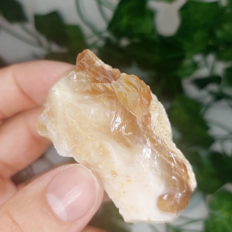 Opala Marrom Caramelo na Matriz Rochosa (Austrália) | Shopee Brasil