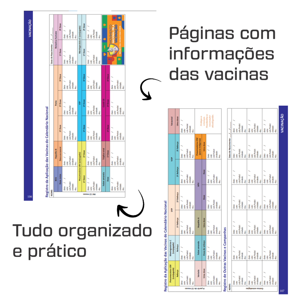 Kit miolo de caderneta de vacina 2025 Atualizada | Shopee Brasil