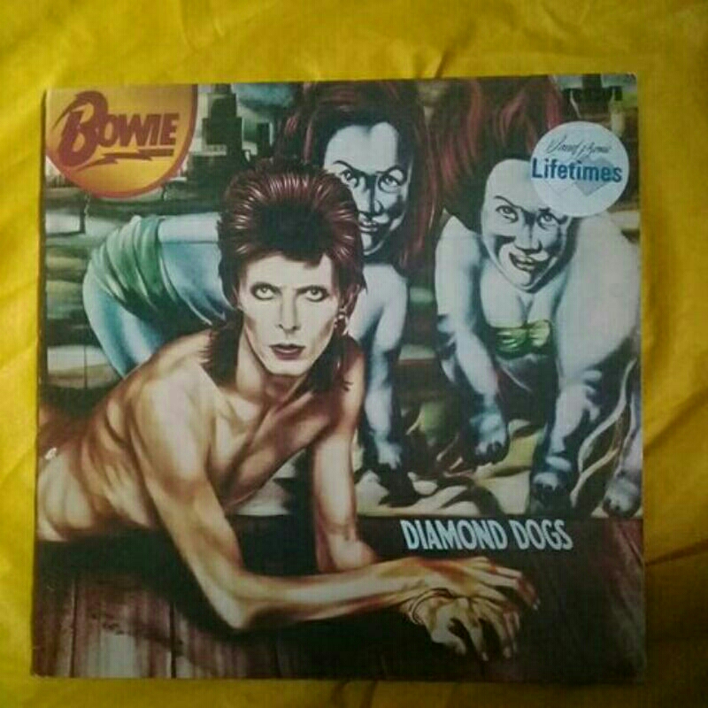 Lp Importado David Bowie Diamond Dogs - Escorrega o Preço