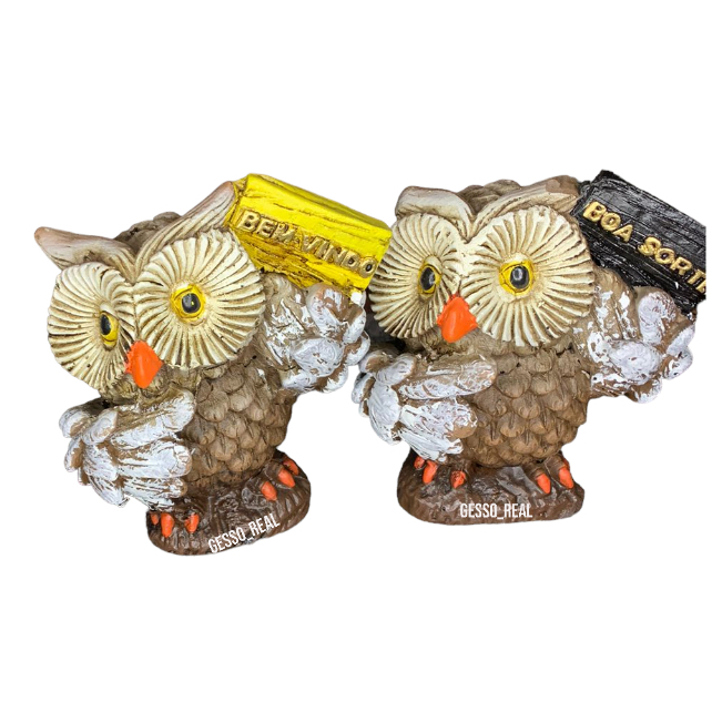 Kit Placa Coruja Decorativa Enfeite para Salas Entradas e Varandas ...